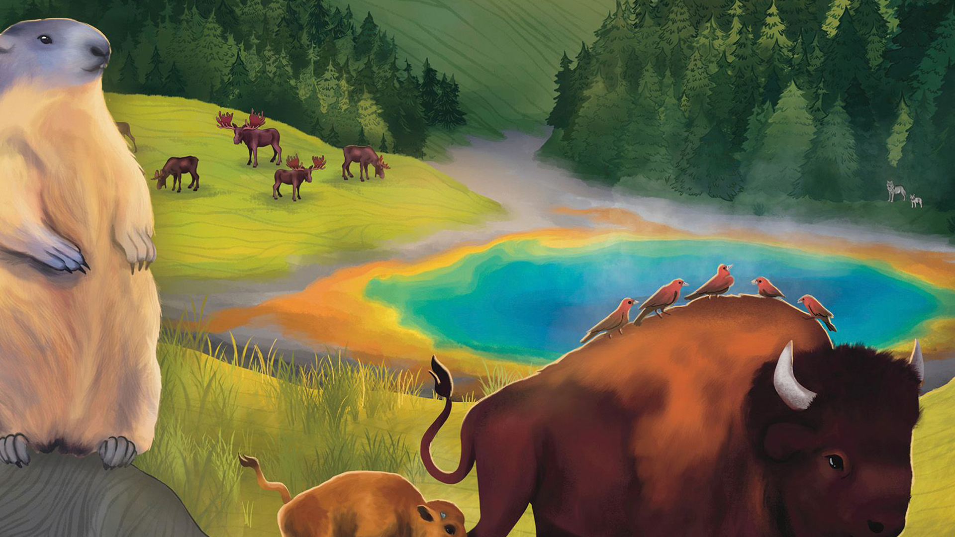 Tikal Co creators Team up Once Again For Wildlife Board Game Caldera tikal-co-creators-team-up-once-again-for-wildlife-board-game-caldera