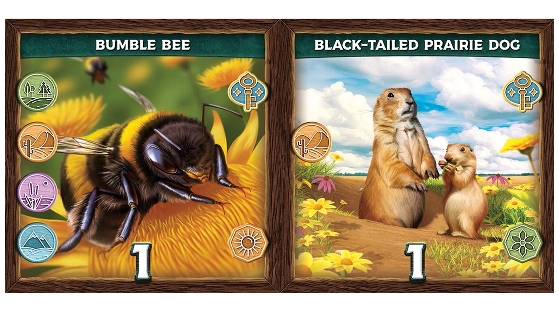 Keystone: North America is the next big board game for nature lovers ...