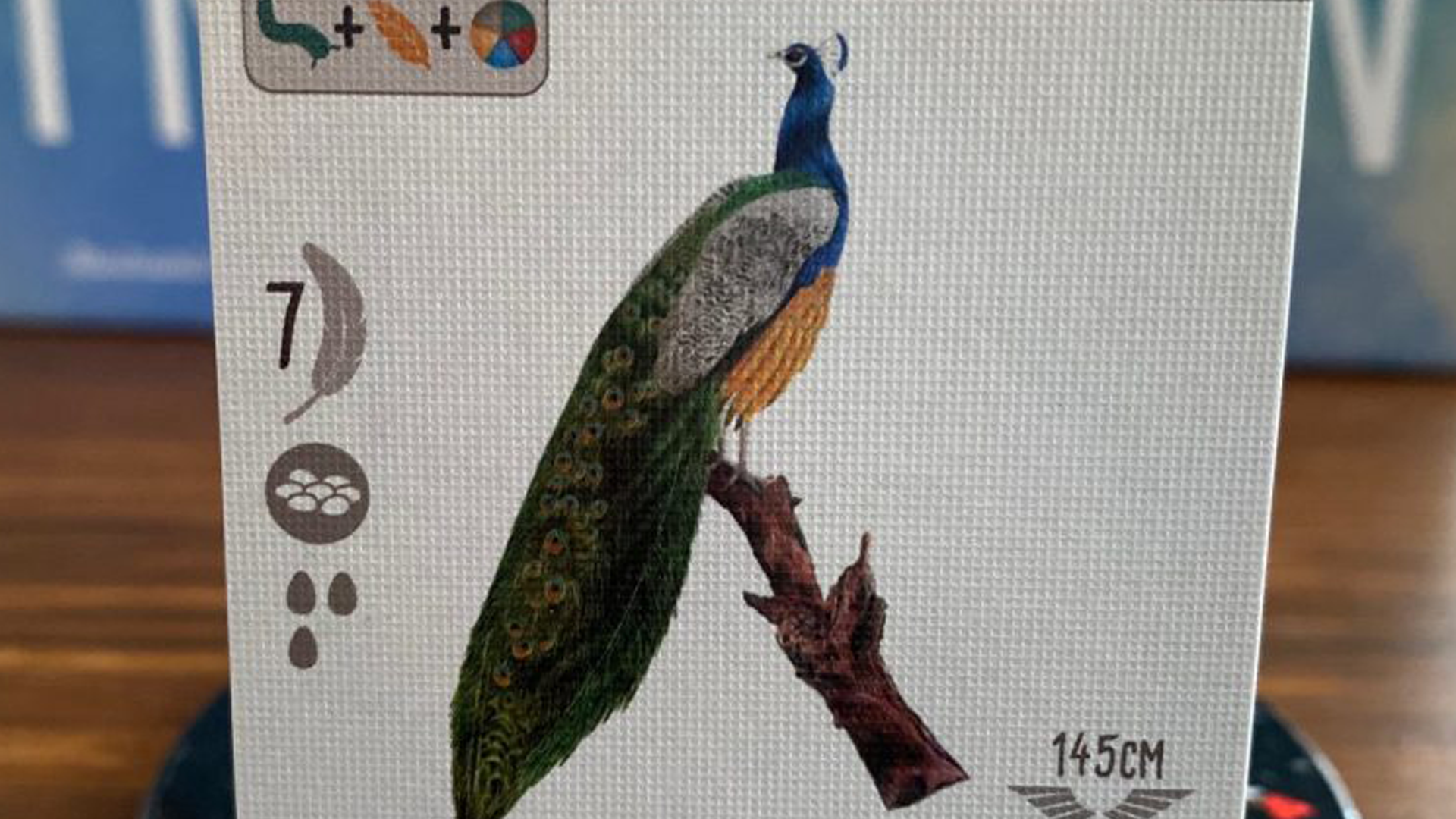 Wingspan Nesting Box can hold base game, European, Oceania and four ...