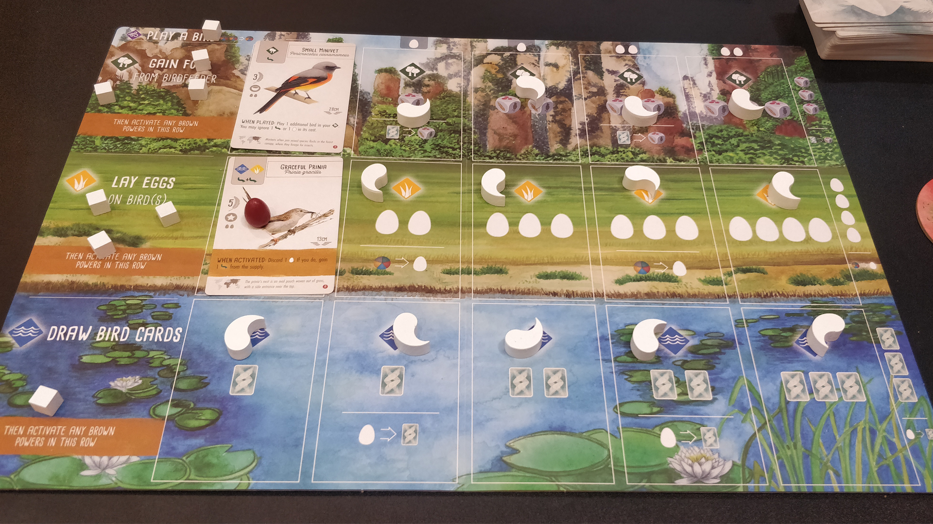 Wingspan Asia | Dicebreaker